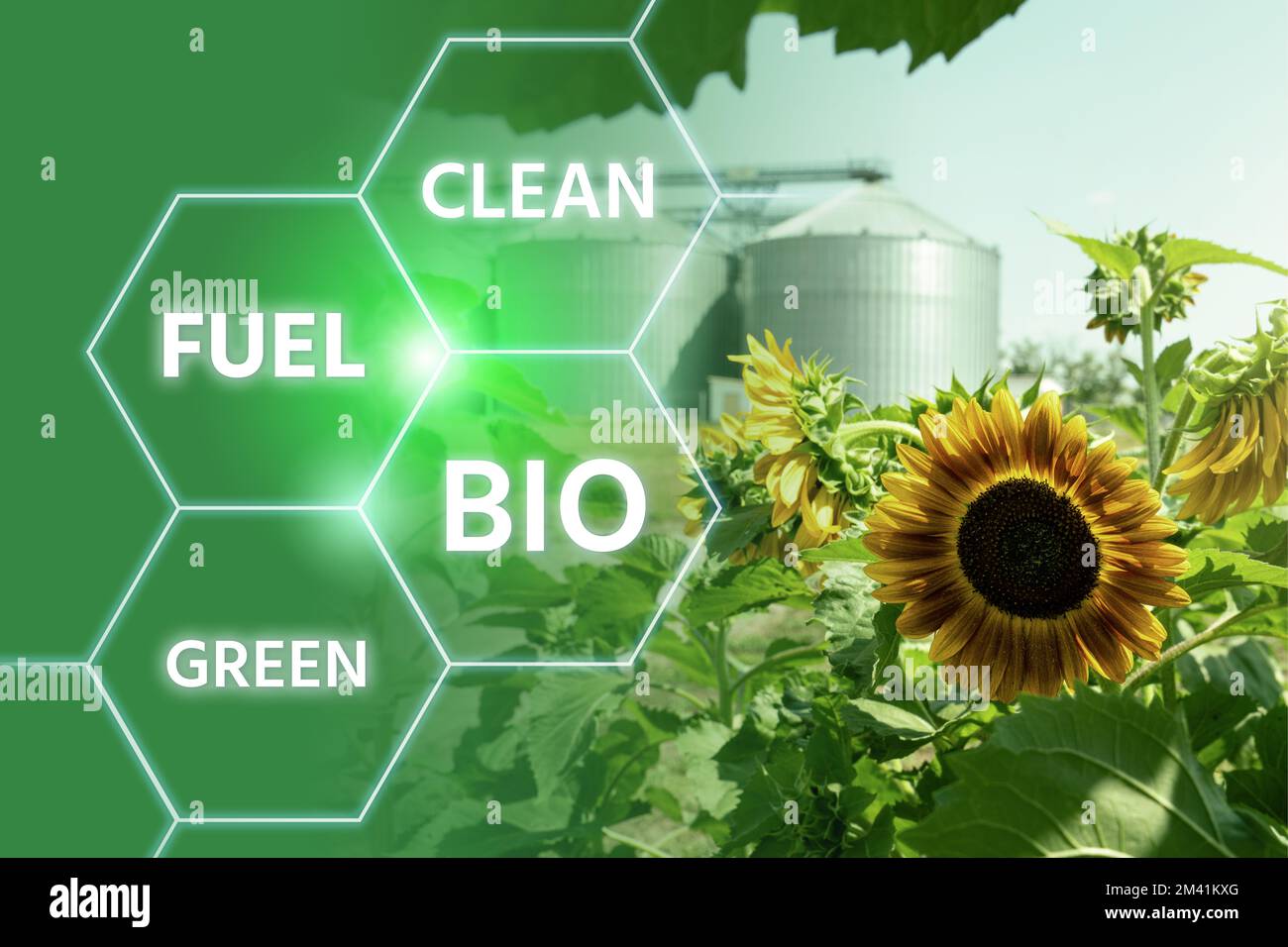 Carbon neutral bio fuel decarbonization concept Stock Photo - Alamy
