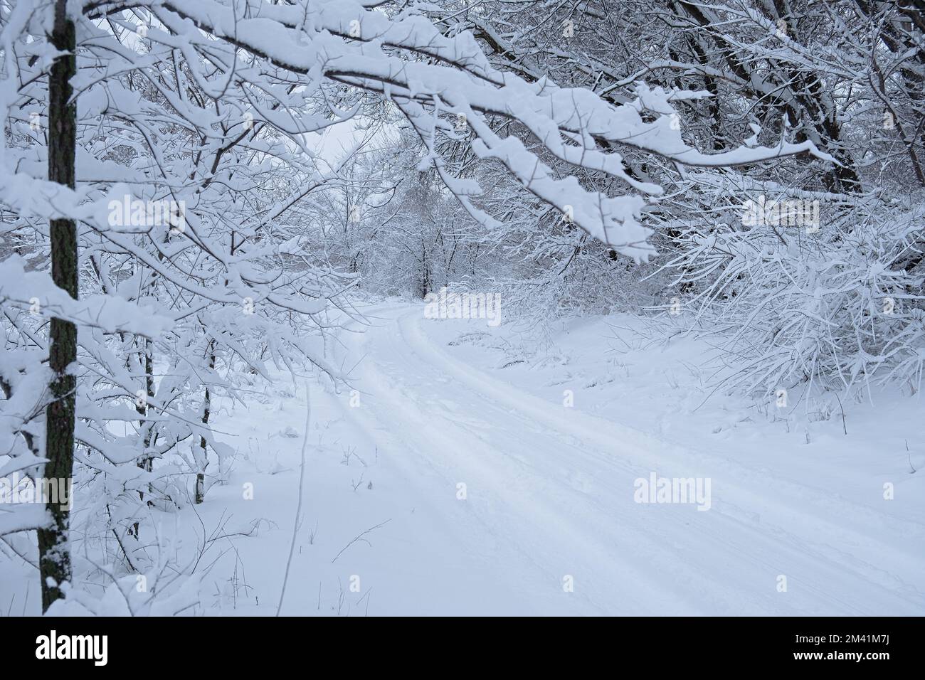 Winter road snowfall. An empty rural road without cars, covered with ...