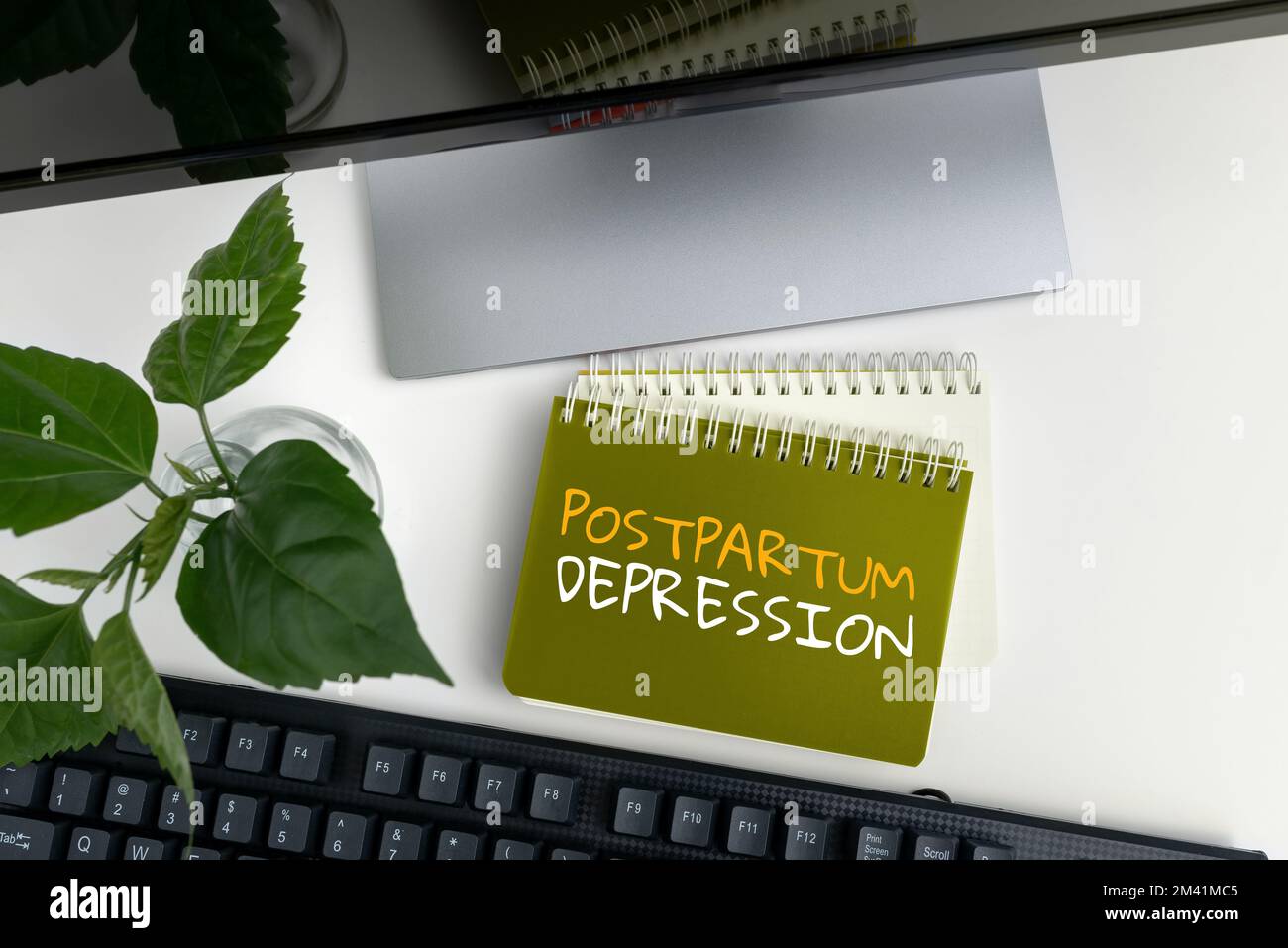 Text caption presenting Postpartum Depression. Concept meaning a mood ...