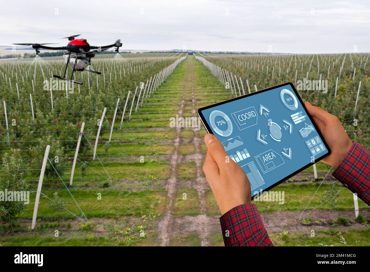 Farmer controls drone sprayer with a tablet. Smart farming and ...