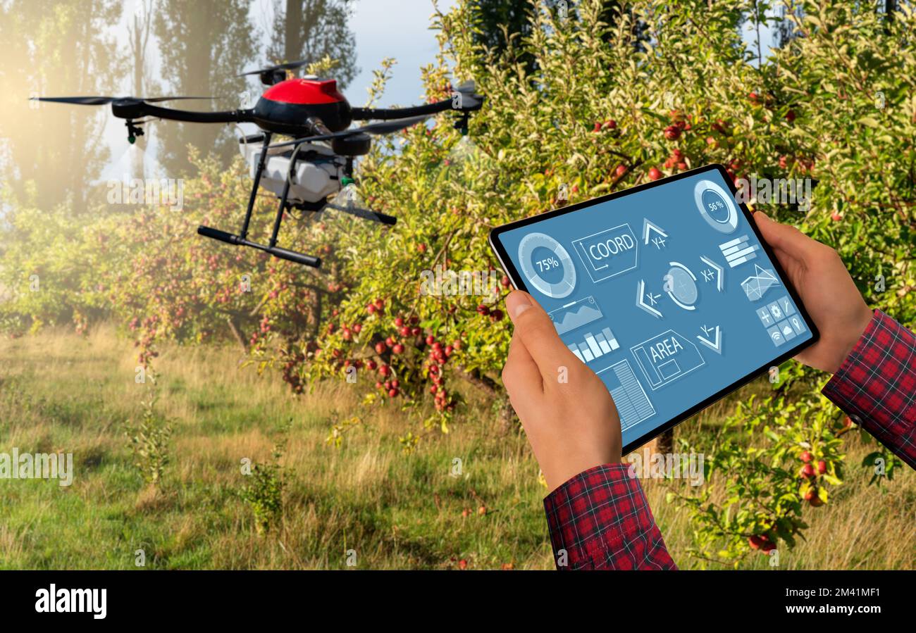 Farmer controls drone sprayer with a tablet. Smart farming and ...