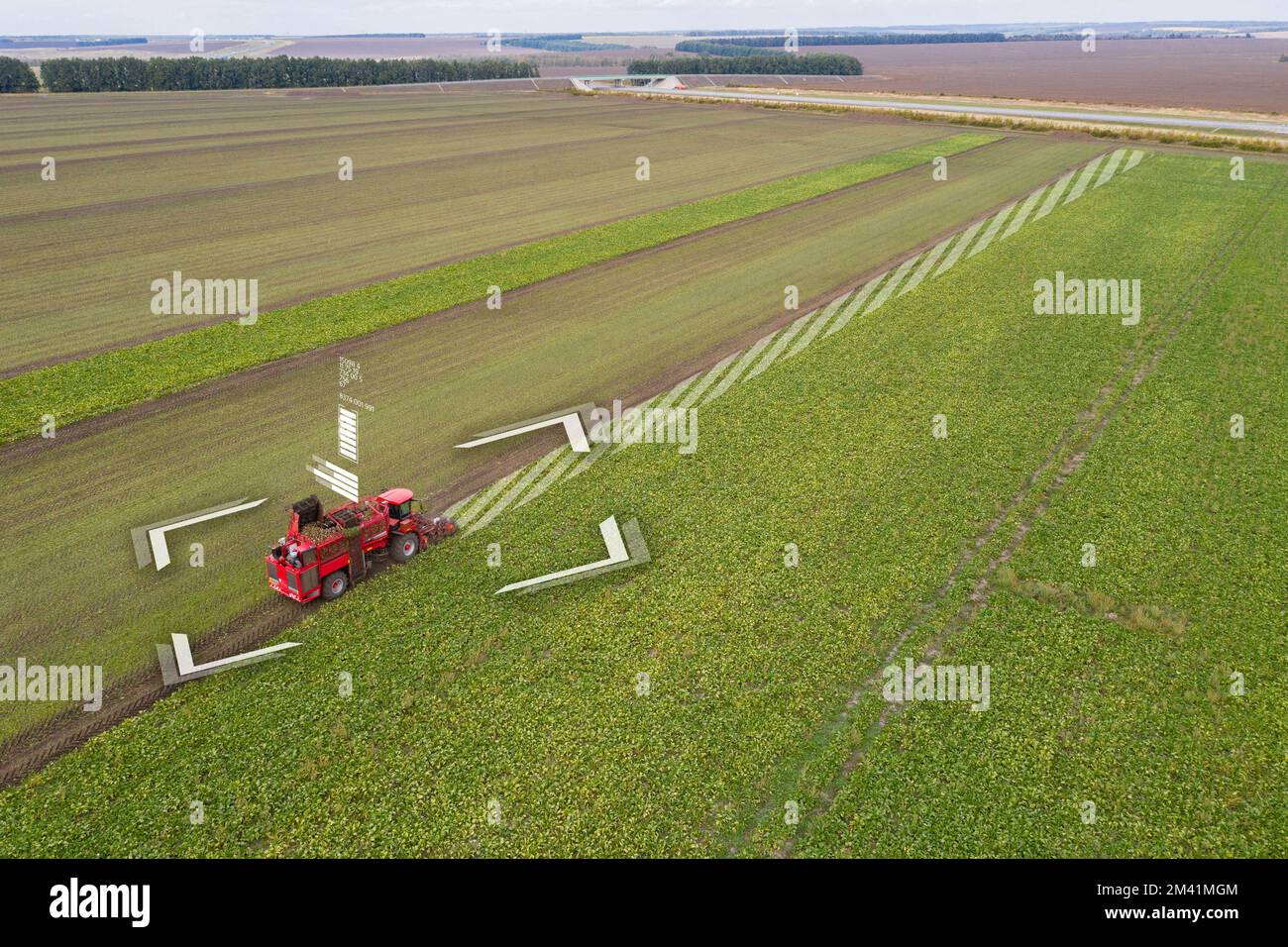 Autonomous harvester on the sugar beet field. Digital transformation in ...