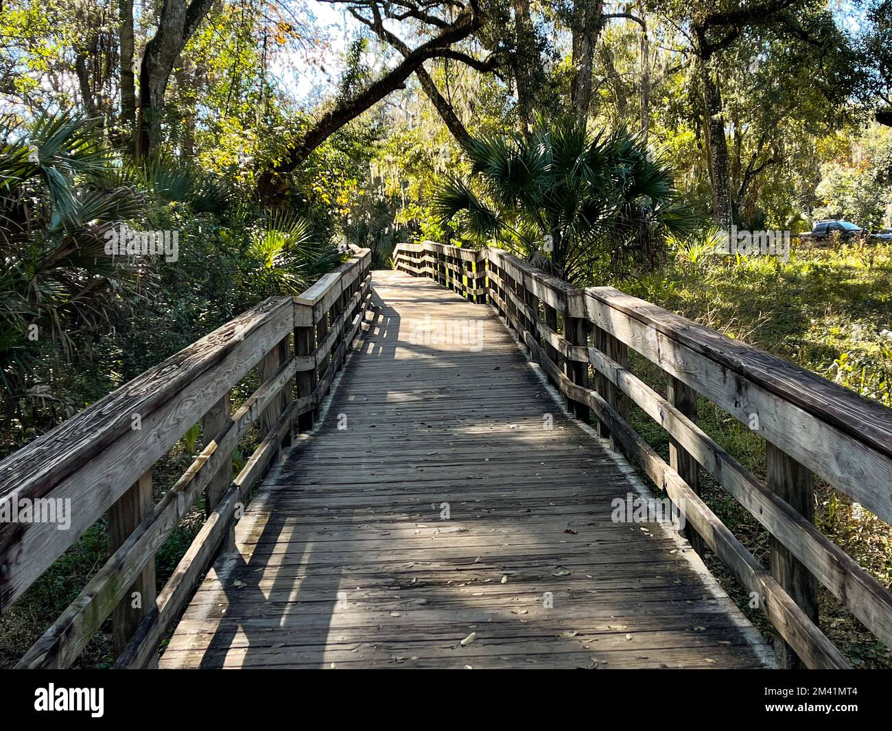 The hiking trails at a State Park in Orlando, Florida Stock Photo - Alamy