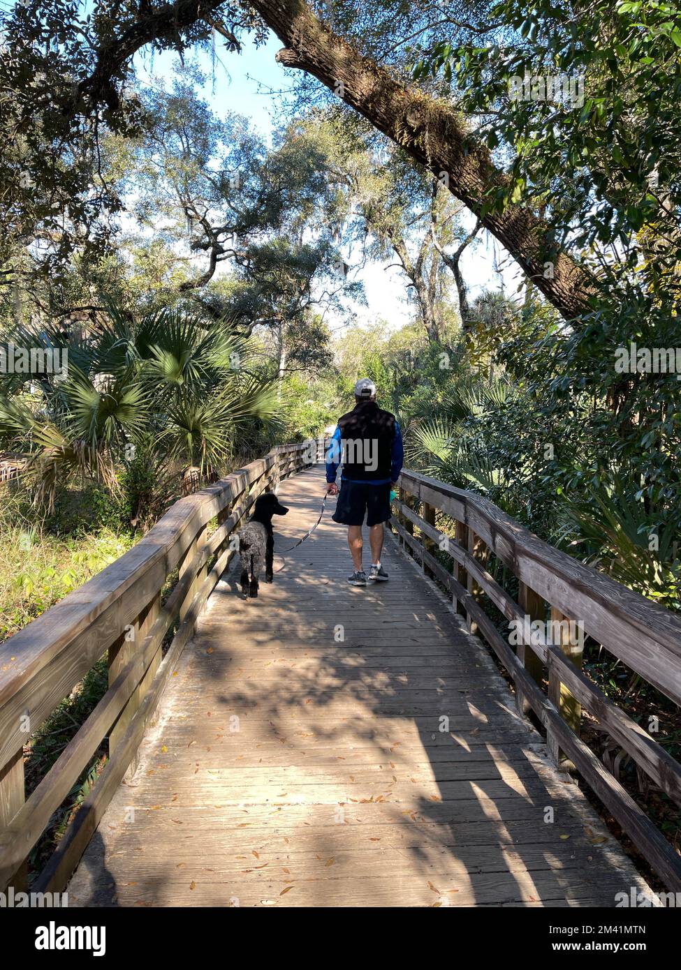 The hiking trails at a State Park in Orlando, Florida Stock Photo - Alamy