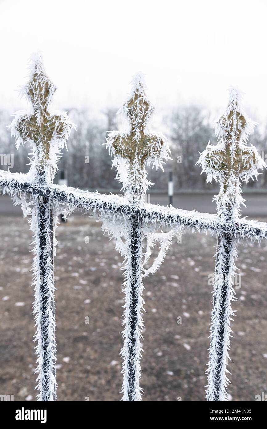 Frost on Iron gates Stock Photo - Alamy