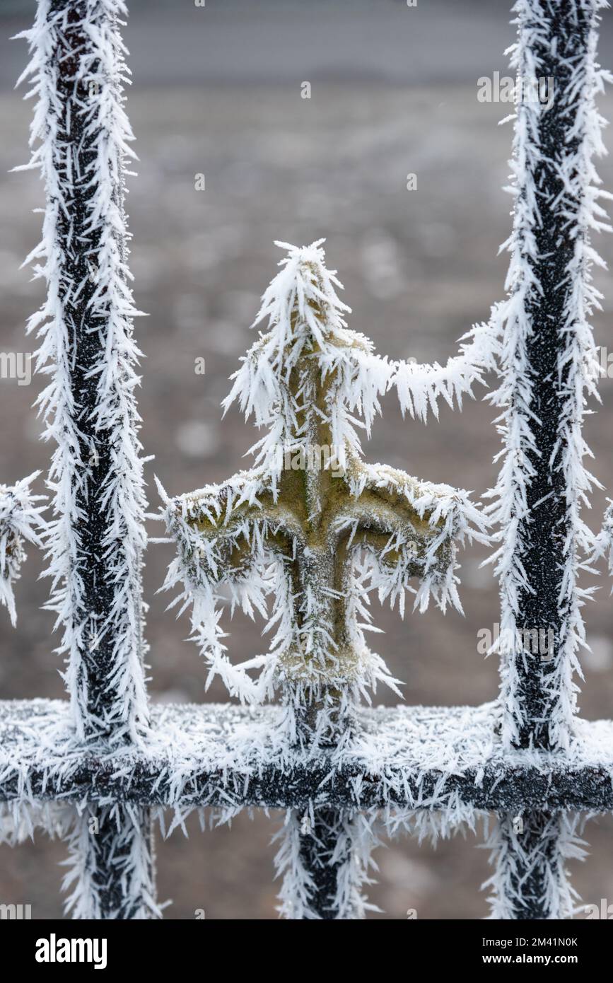 Frost on Iron gates Stock Photo - Alamy