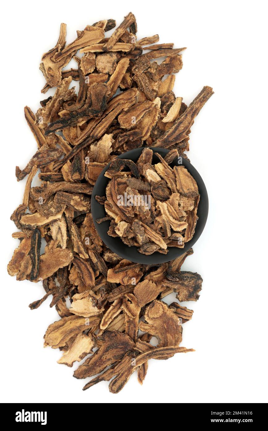 Hog fennel root herbal plant medicine, is antispasmodic, diaphoretic ...
