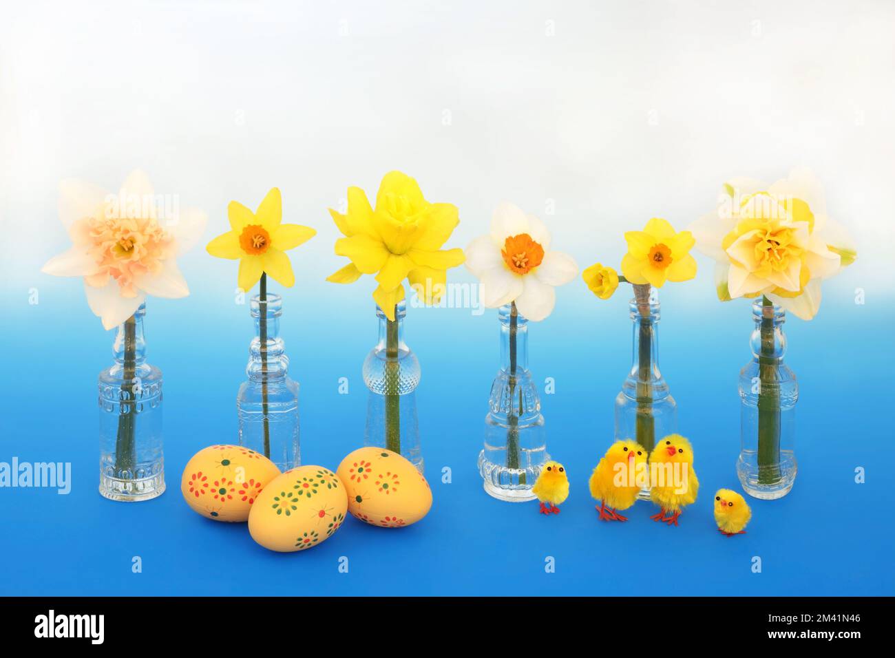 Spring and Easter symbols with Easter eggs, daffodil and narcissus ...