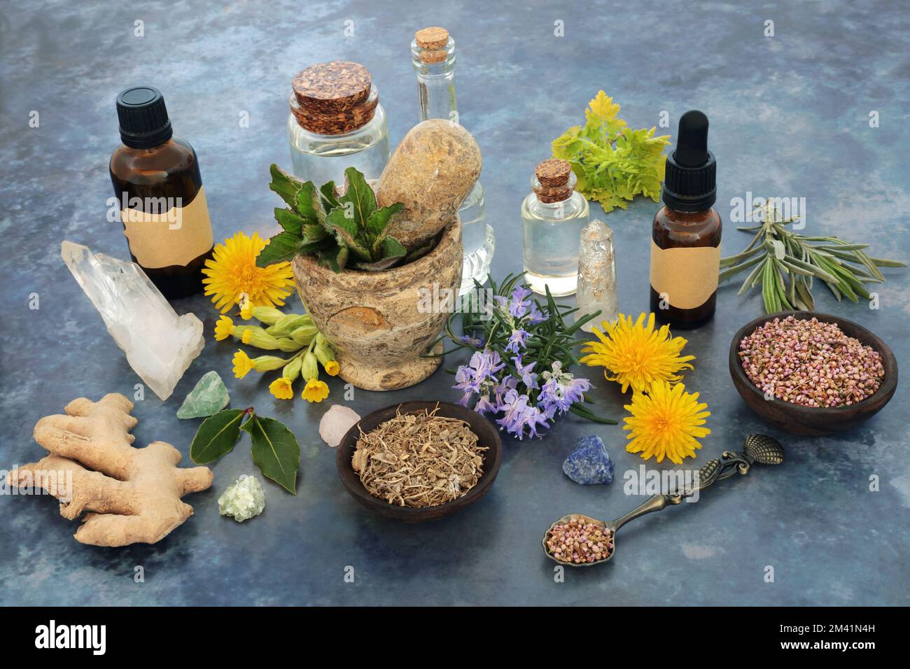 Potion ingredients hi-res stock photography and images - Alamy
