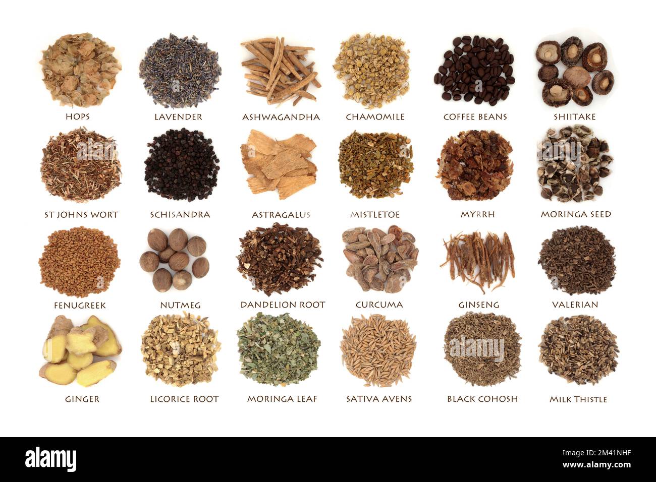 Nervine health food, large collection, herbal plant medicine with herbs ...