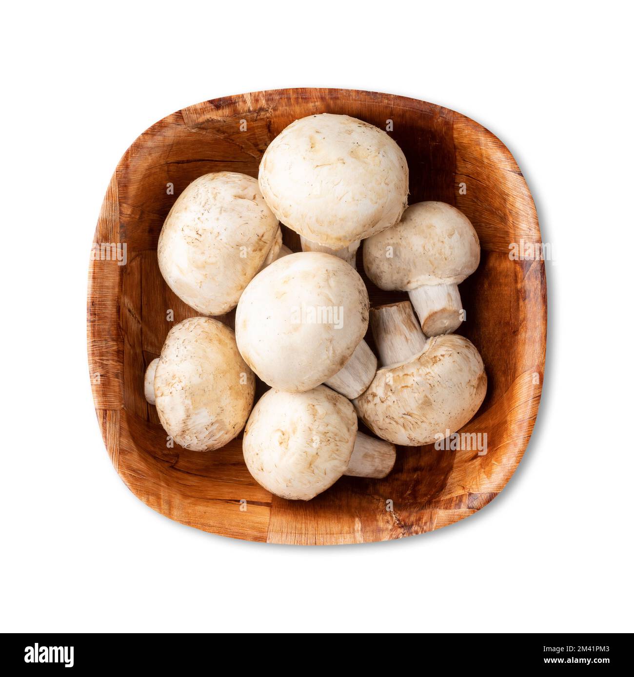 Paris mushrooms in a bowl isolated over white background Stock Photo ...