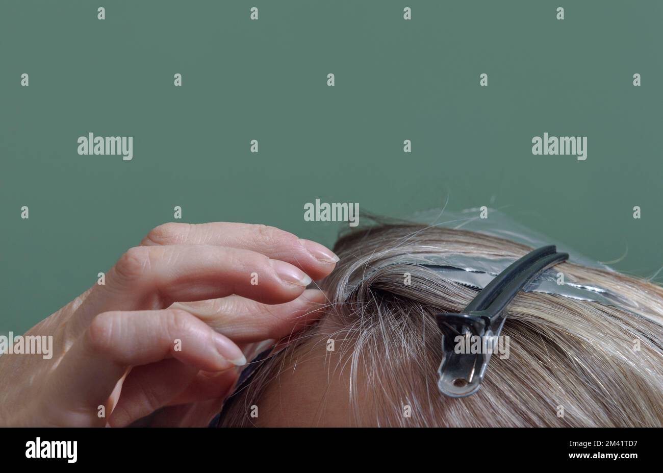 Position of fixing the hair on the head during the dyeing process ...