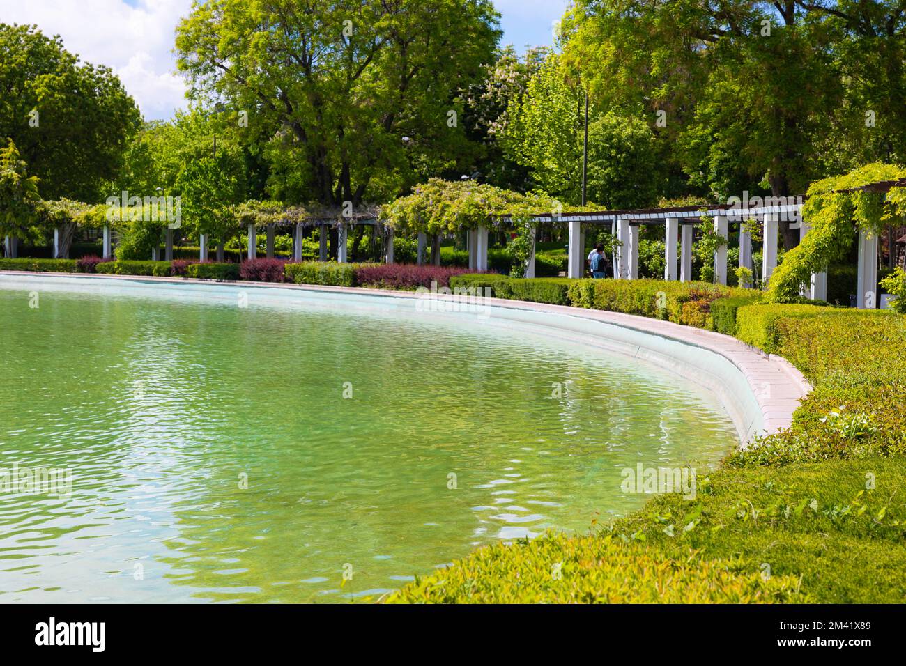 Public park scene. Pond in a park at daytime. Landscape architecture ...