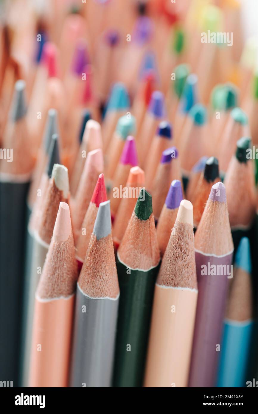 Tightly packed bunch vibrant hi-res stock photography and images - Alamy