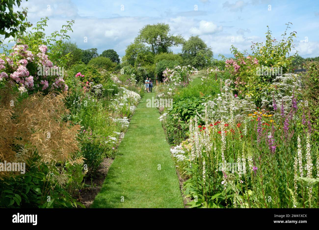 Summer Landscape view of herbaceous borders in Helmingham Hall and ...