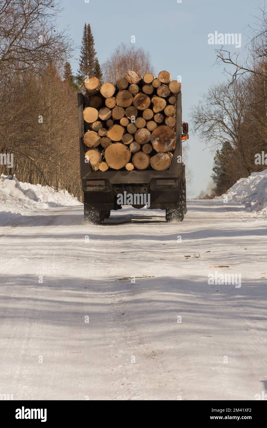 rear view of a long heavy industrial cargo ship for transporting timber ...