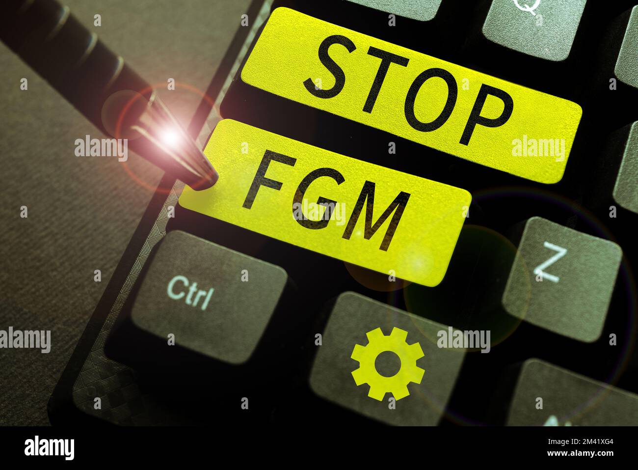 Text Caption Presenting Stop Fgm Concept Meaning Put An End On Female Genital Cutting And
