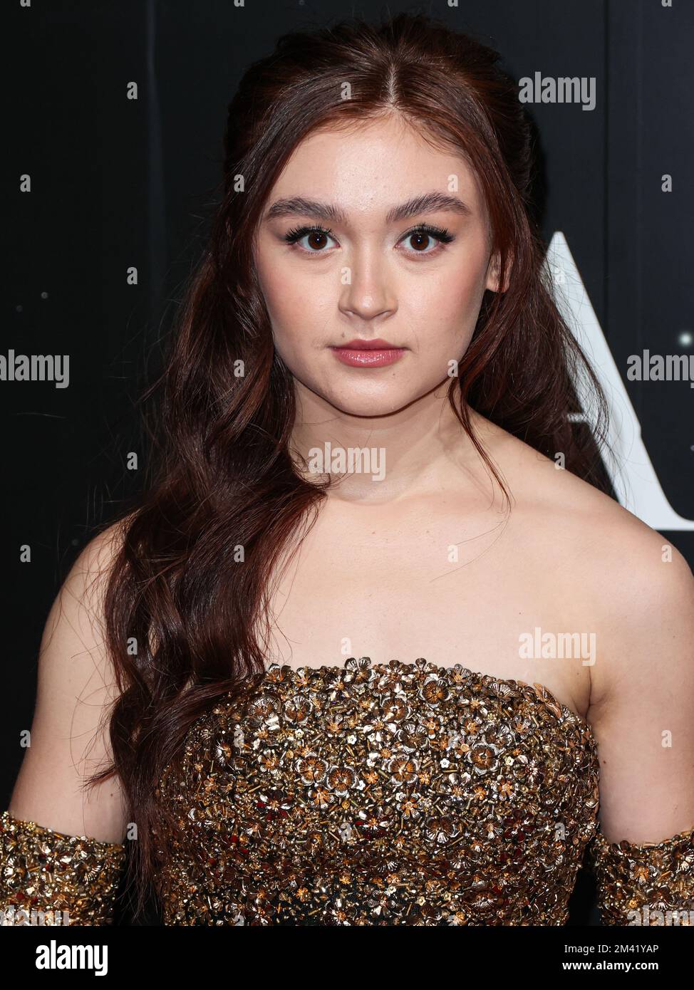 Beverly Hills, United States. 17th Dec, 2022. BEVERLY HILLS, LOS ...