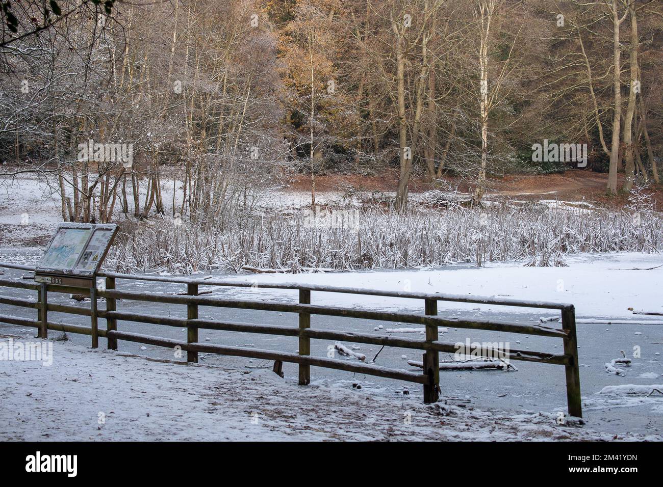 Farnham Common, Buckinghamshire, UK. 17th December, 2022. A frozen pond ...