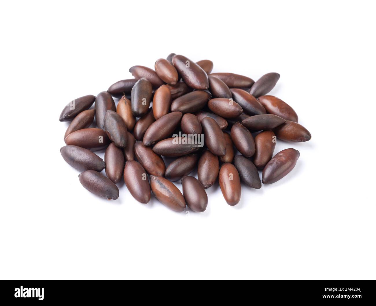 A group of baru nuts isolated over white background Stock Photo - Alamy