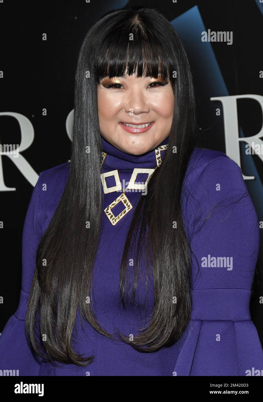 Jenny Yang at the 20th Annual Asian American Awards UNFORGETTABLE Gala ...