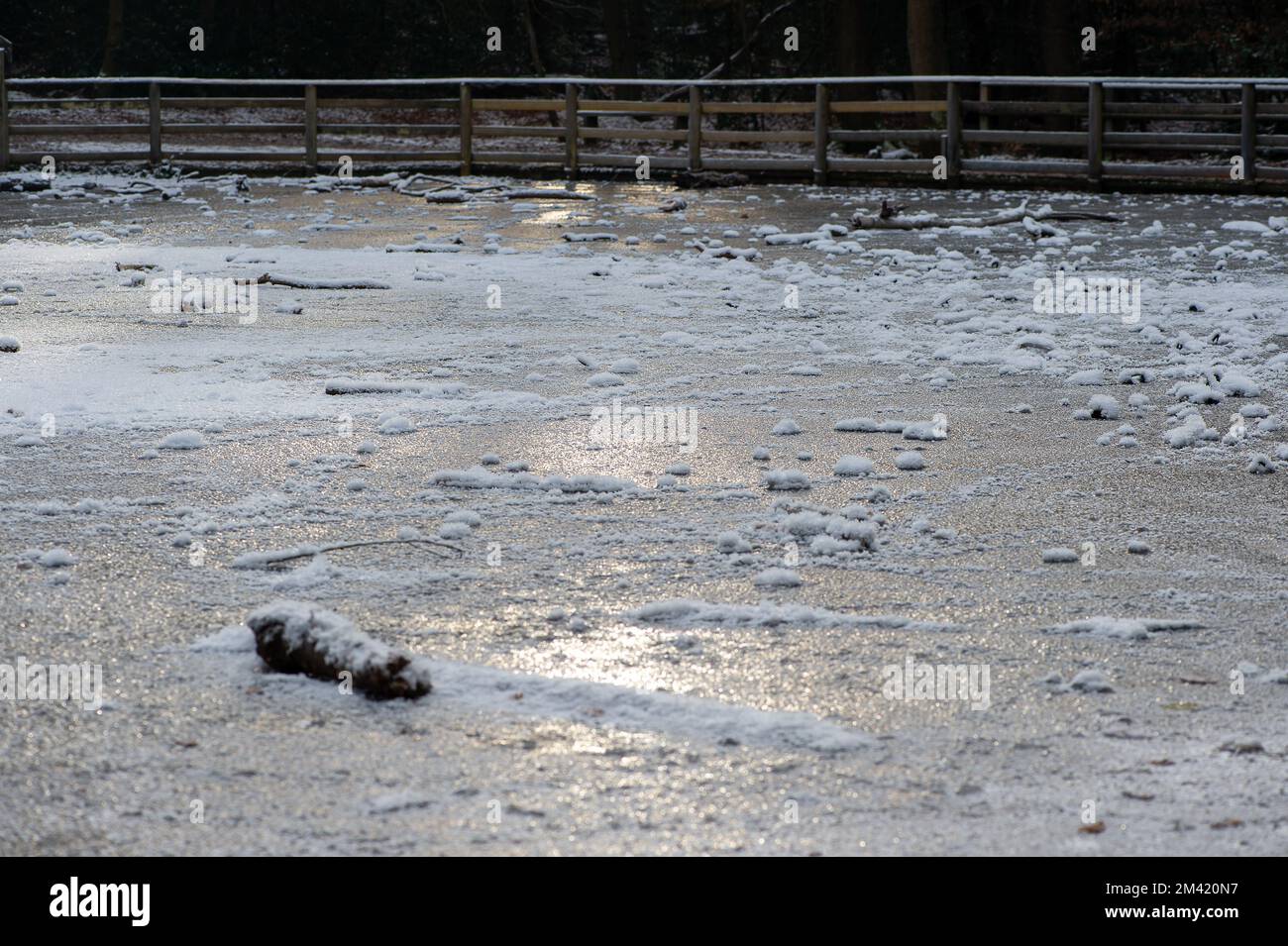 Farnham Common, Buckinghamshire, UK. 17th December, 2022. A frozen pond ...
