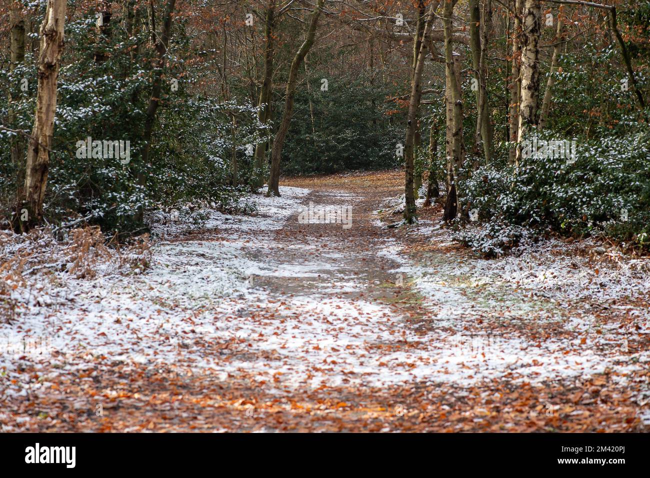 Farnham Common, Buckinghamshire, UK. 17th December, 2022. Burnham ...