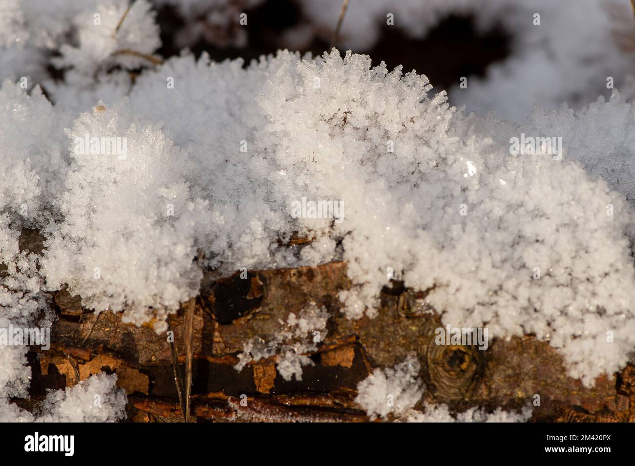 Farnham Common, Buckinghamshire, UK. 17th December, 2022. Burnham ...