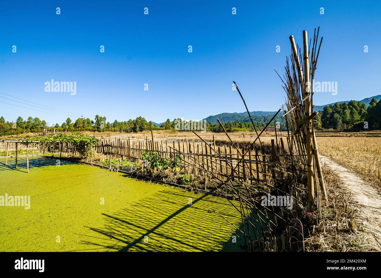 Typical rice fields and village structure of the Apatani tribe Stock ...