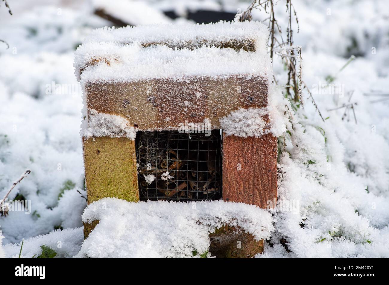 Farnham Common, Buckinghamshire, UK. 17th December, 2022. Snow on top ...