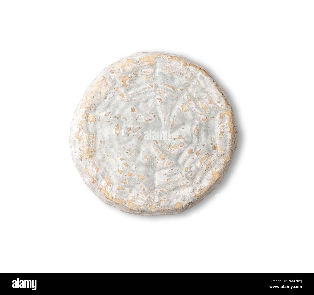 Brazilian artisan Bofete blue cheese isolated over white background ...