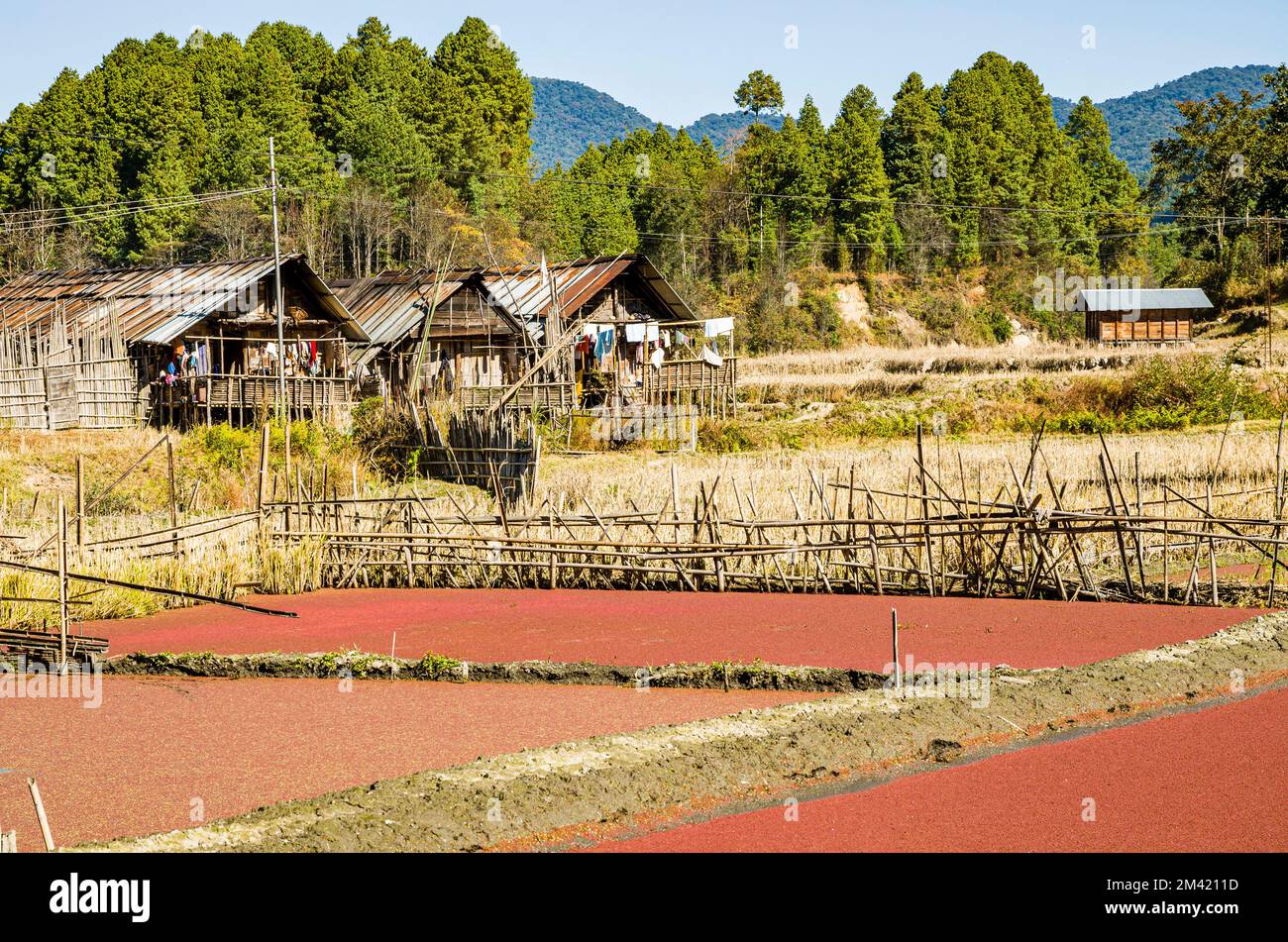 Typical rice fields and village structure of the Apatani tribe Stock ...