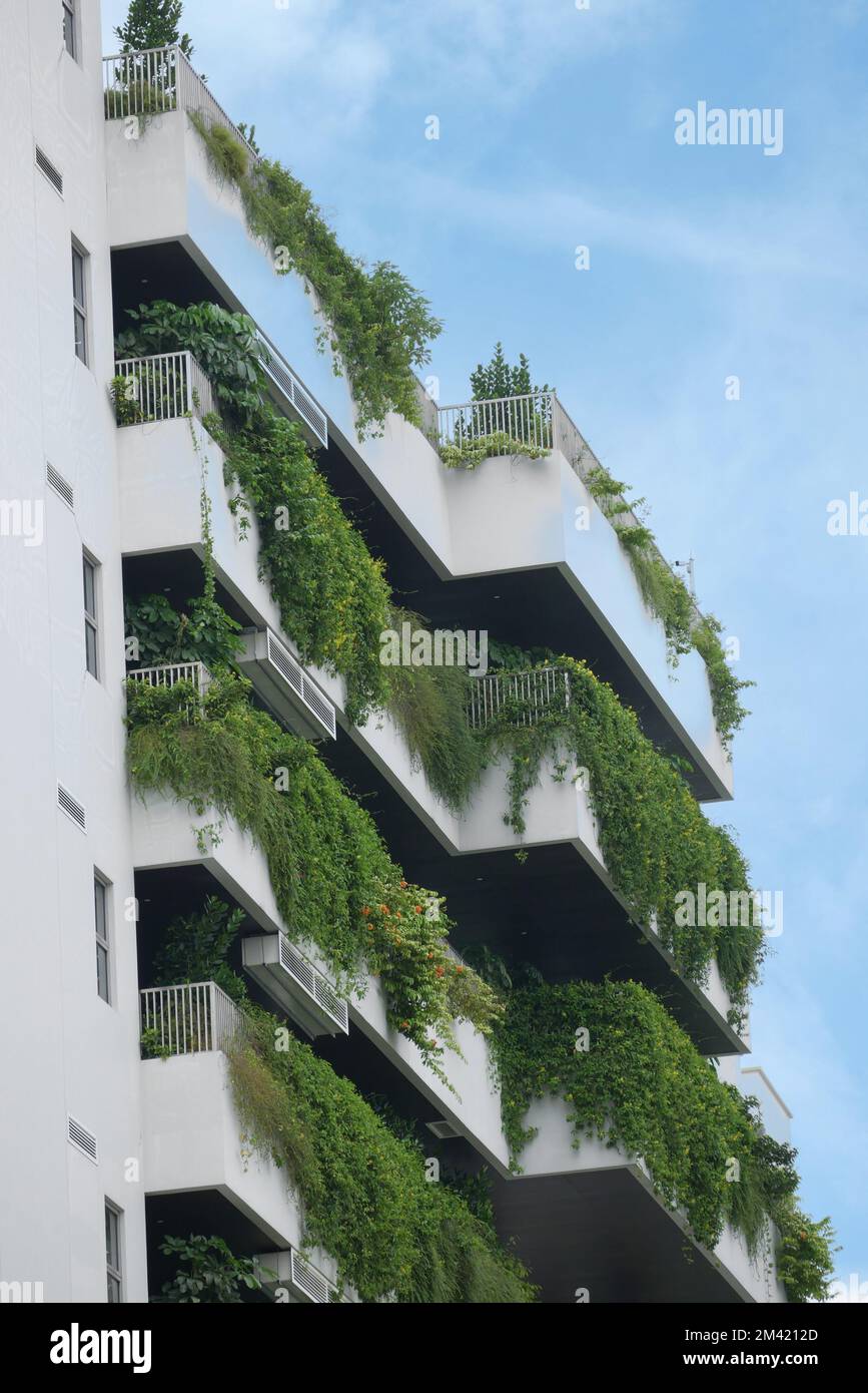 building with plants growing on the facade Stock Photo - Alamy
