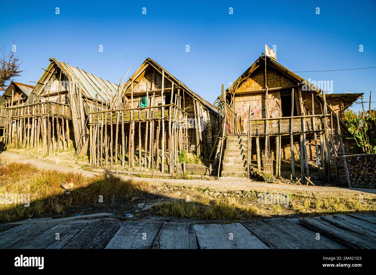 Typical village structure of the Apatani tribe in Ziro region Stock ...