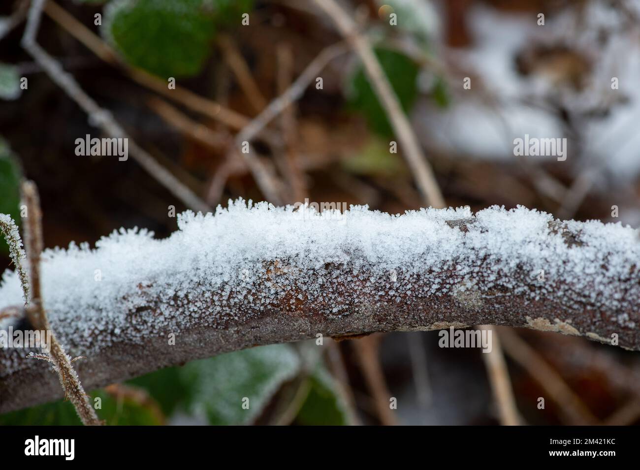 Farnham Common, Buckinghamshire, UK. 17th December, 2022. Burnham ...
