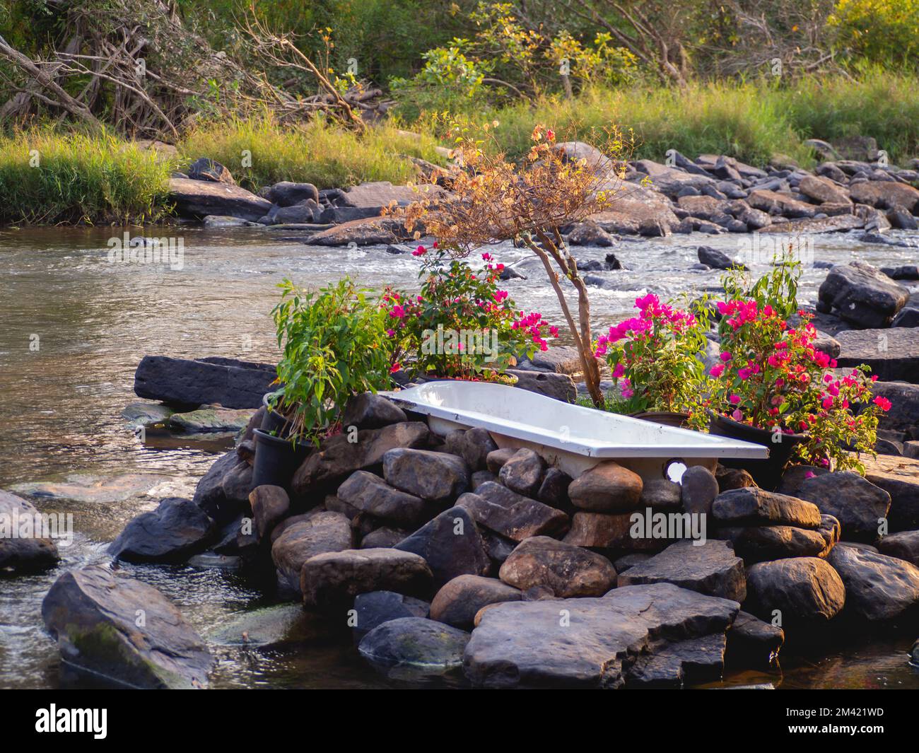 A bath in the middle of the river and flowers Stock Photo - Alamy