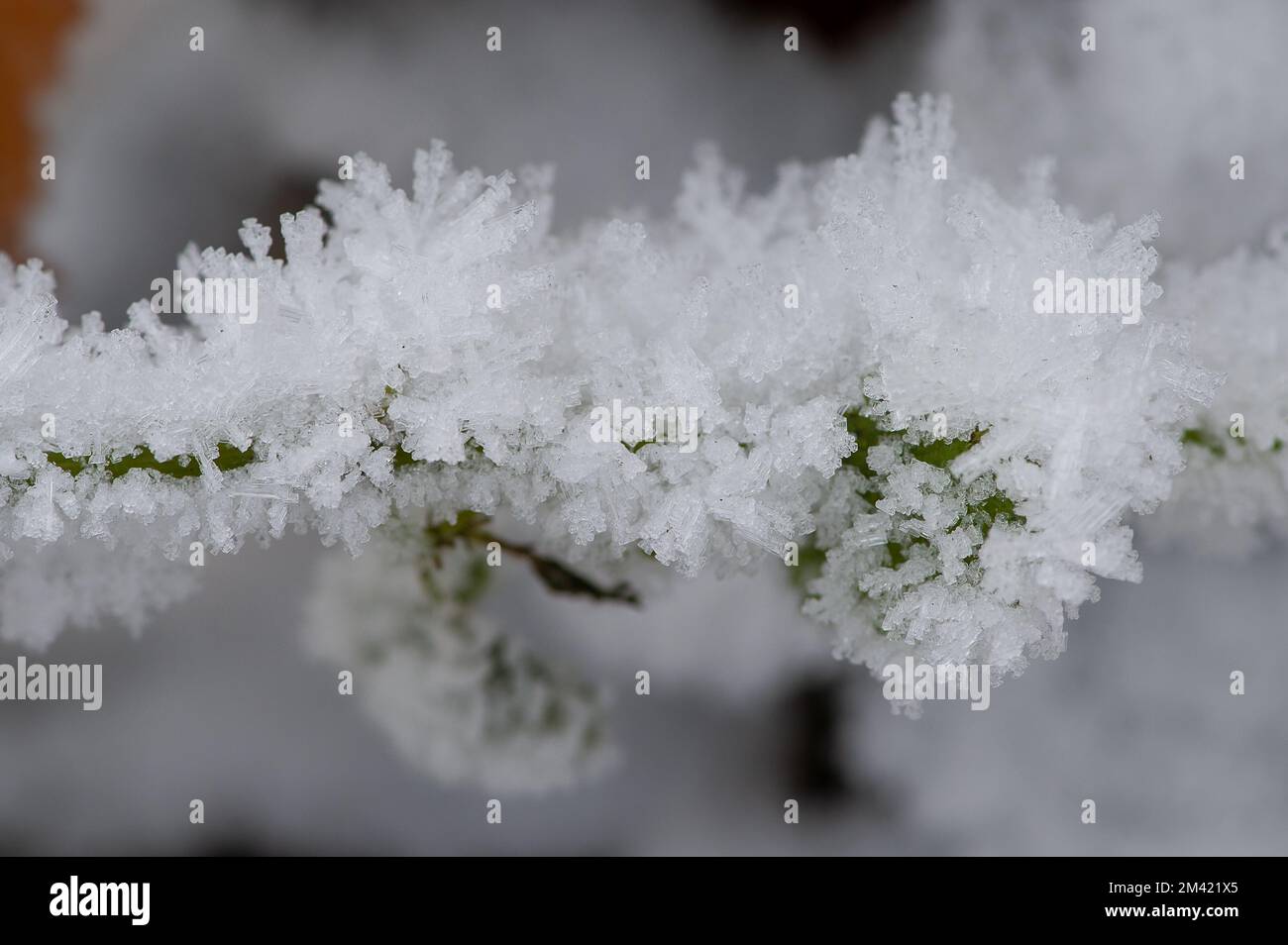 Farnham Common, Buckinghamshire, UK. 17th December, 2022. Burnham ...