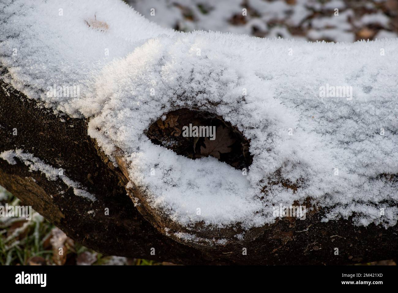 Farnham Common, Buckinghamshire, UK. 17th December, 2022. Burnham ...