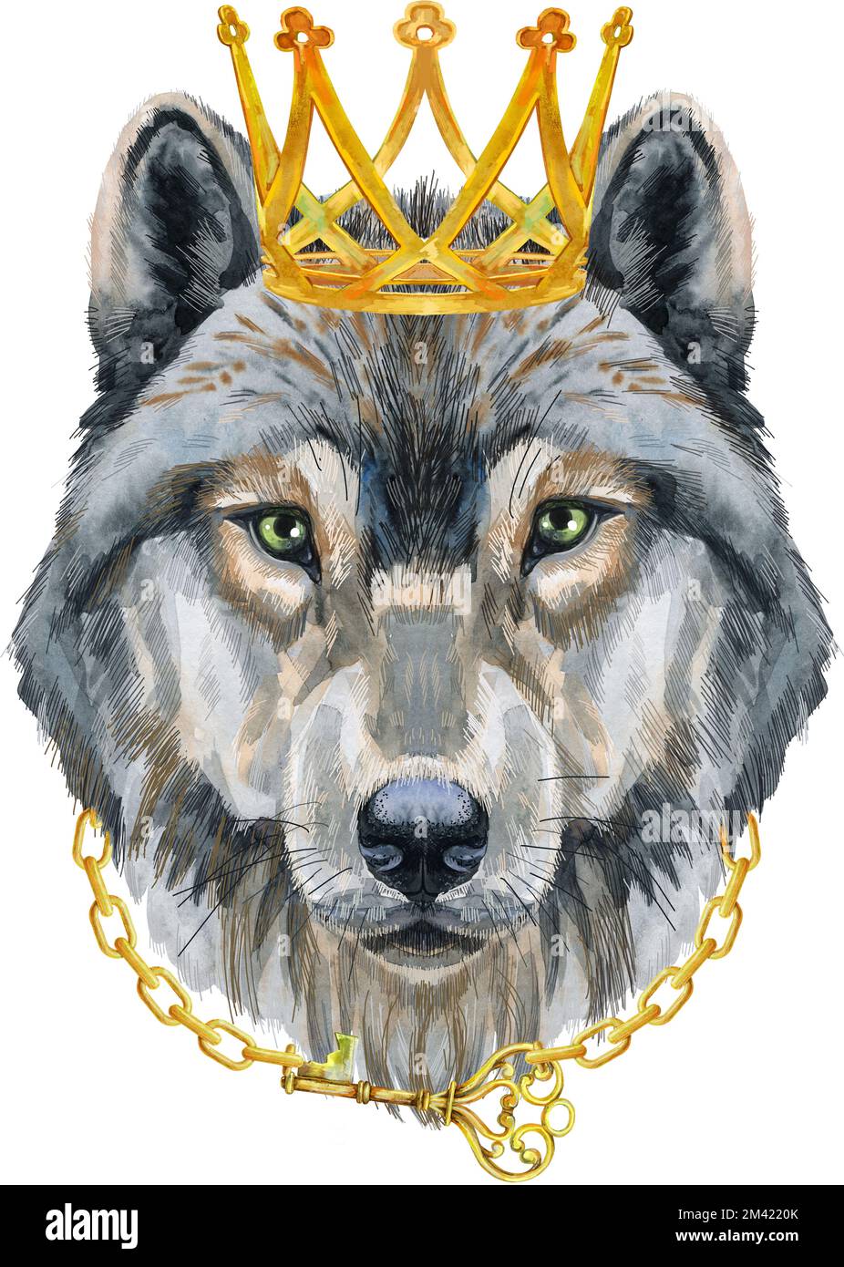 Wolf portrait in golden crown and with golden chain. Watercolor gray ...