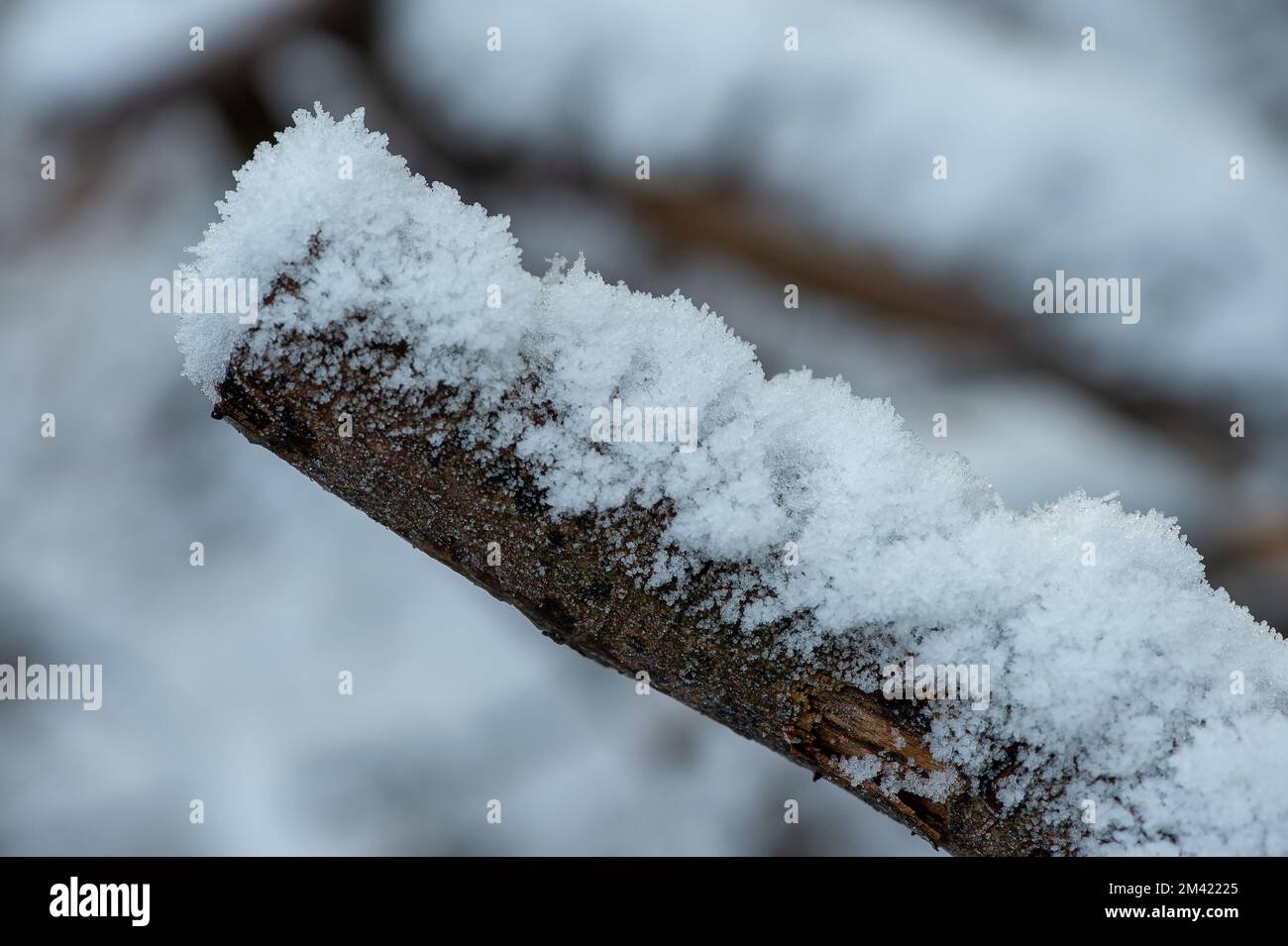 Farnham Common, Buckinghamshire, UK. 17th December, 2022. Burnham ...