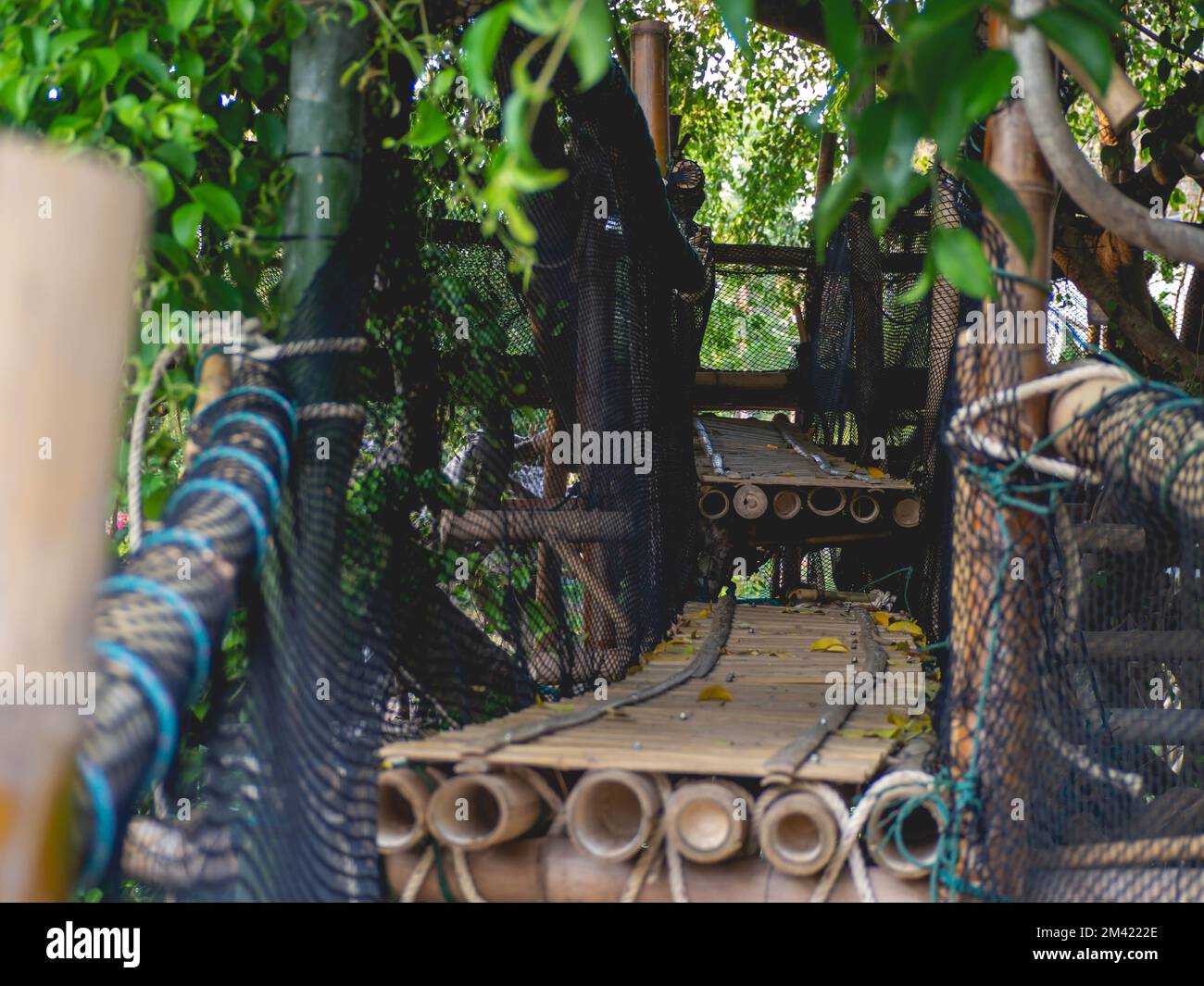Bamboo path river mountain hi-res stock photography and images - Alamy