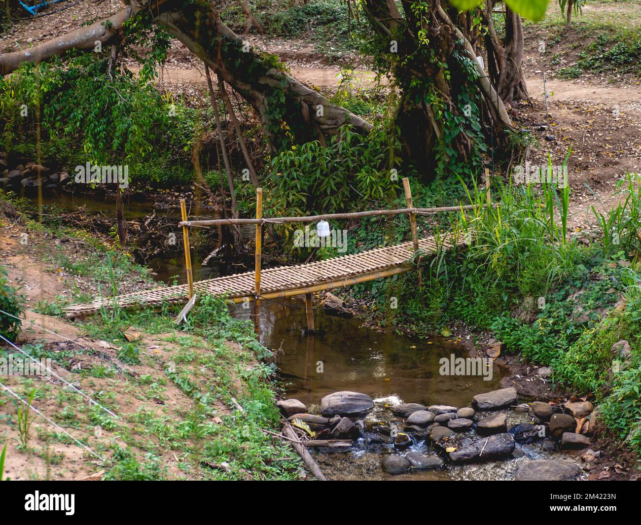 Lake bamboo walkway hi-res stock photography and images - Alamy