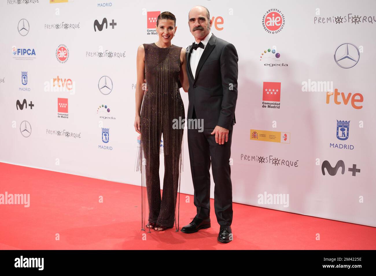 Madrid, Spain. 17th Dec, 2022. María Luisa Mayol and Luis Tosar attend the red carpet of the ...