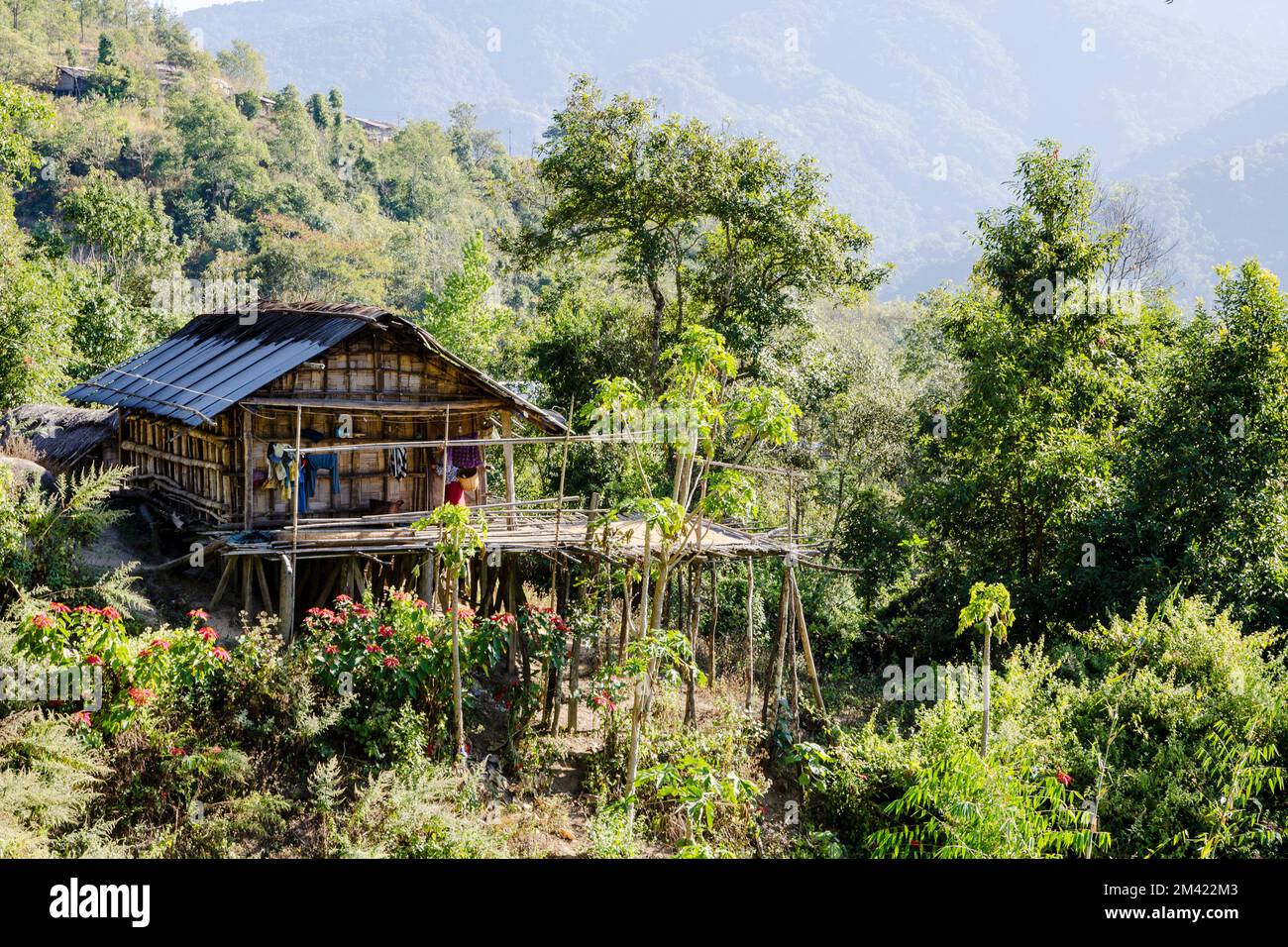 Typical house of the Nishi tribe Stock Photo - Alamy