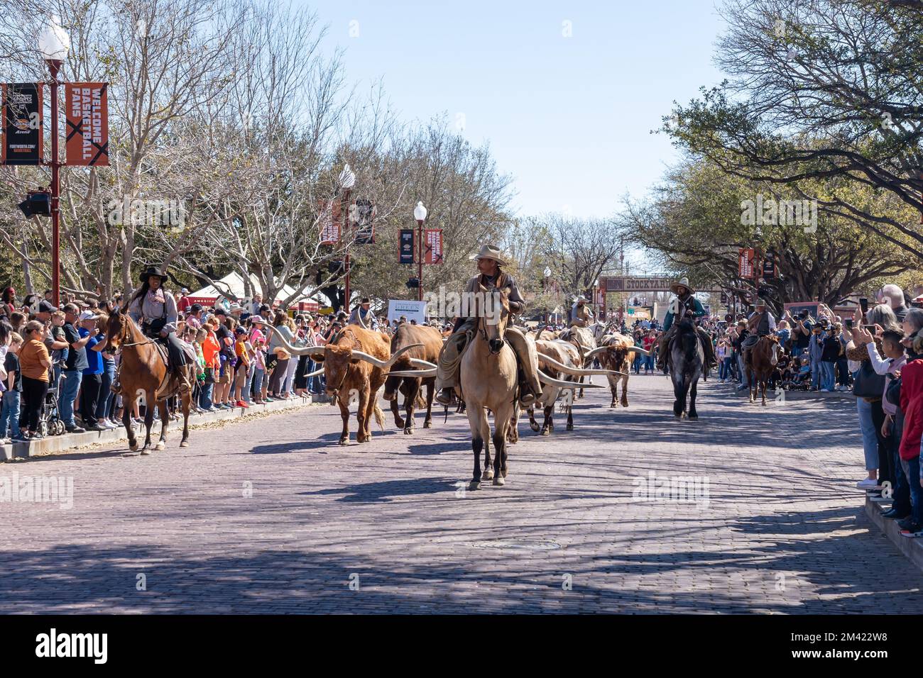 Cattle drive hi-res stock photography and images - Alamy