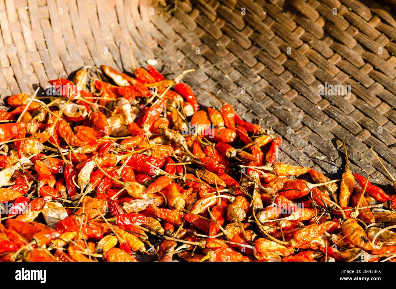 Adi gallo hi-res stock photography and images - Alamy