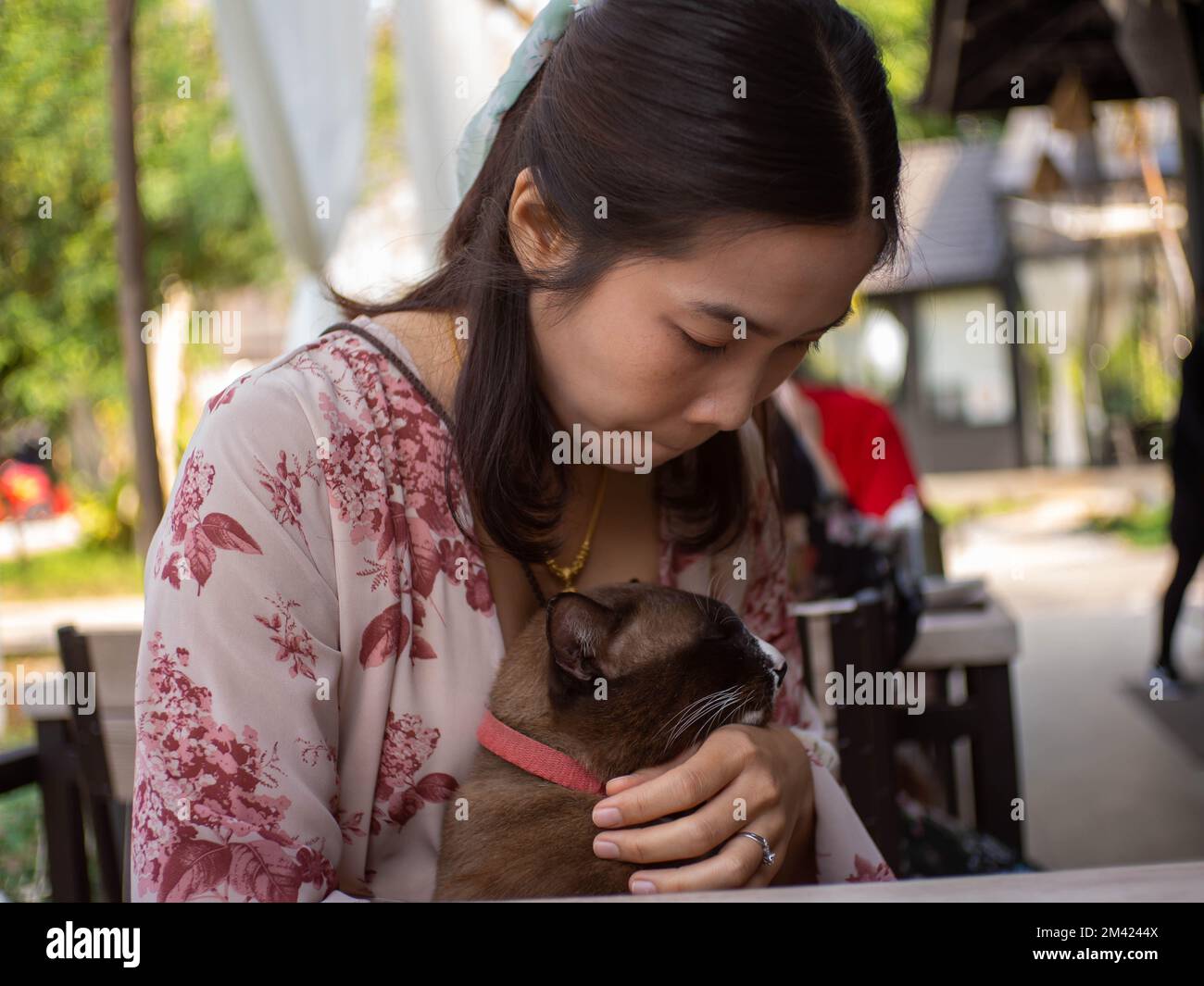 A woman wearing a red dress is playing with an brown cat at Coffee shop called "Nature Park ...