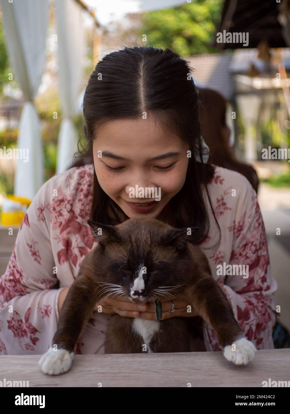 A woman wearing a red dress is playing with an brown cat at Coffee shop ...