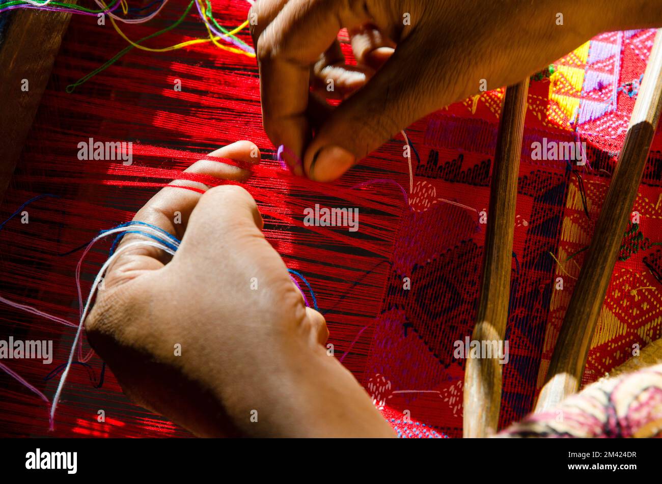 Young lady of the Mishing tribe weaving at a handloom in front of her ...