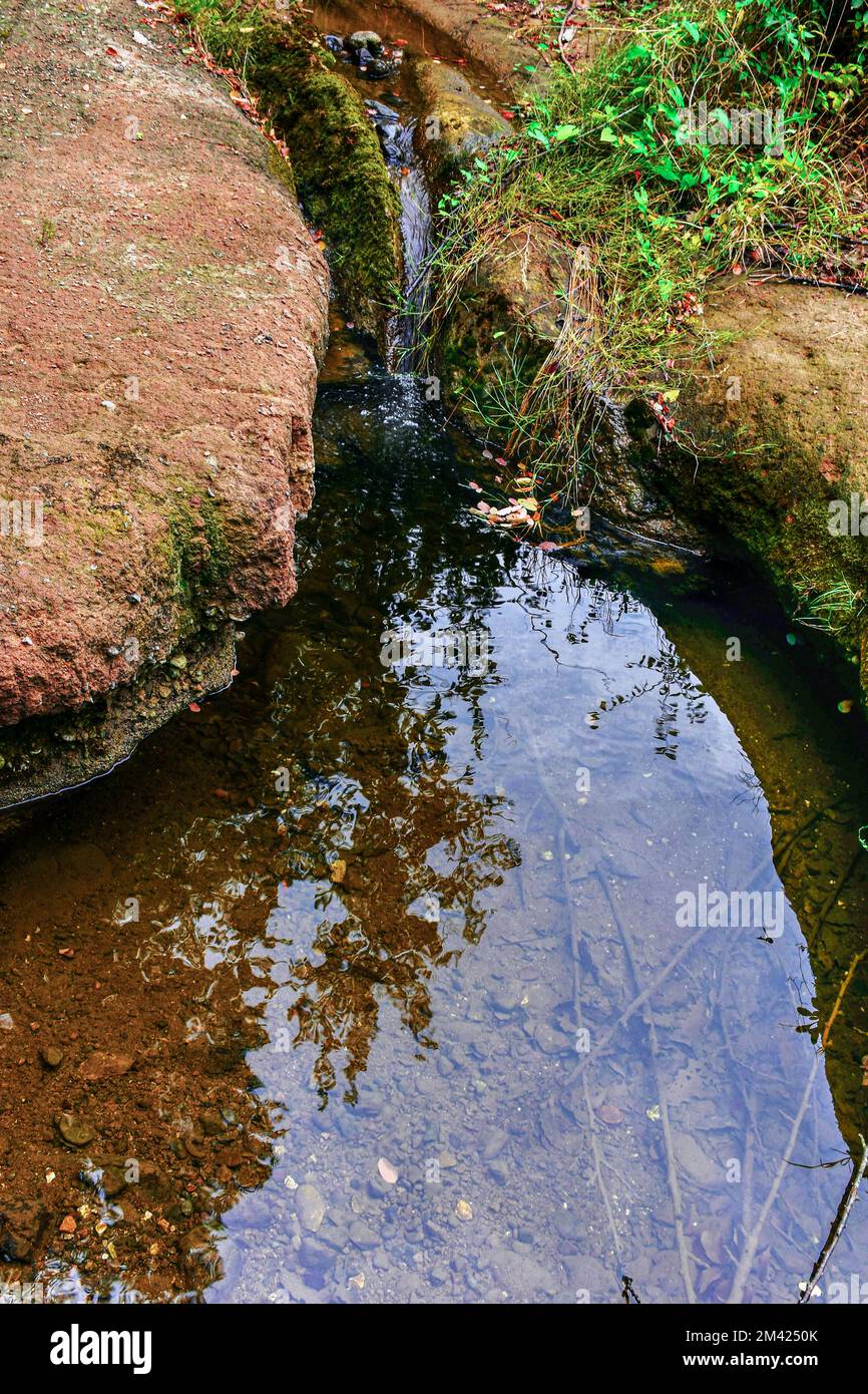 A miniature waterfall of a forest stream. The water flows into a small ...